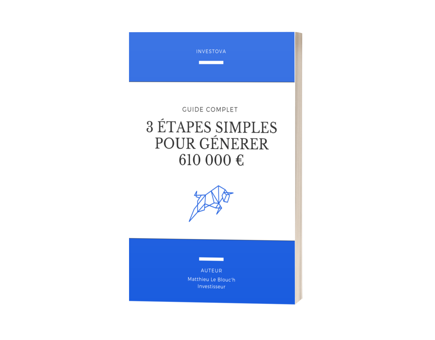 3 tapes Simples Pour G n rer 610 000 EBook Investova